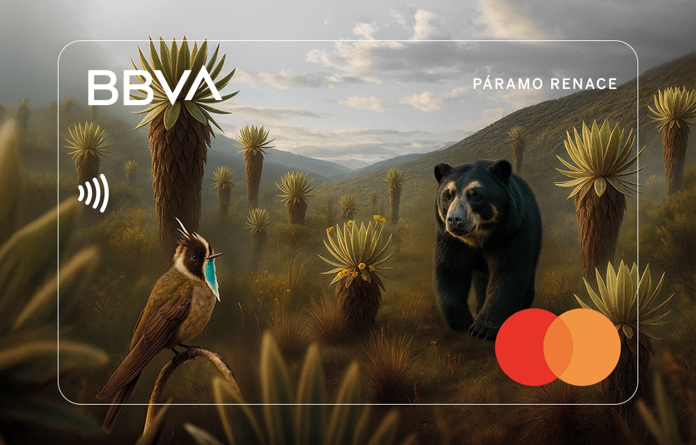 Tarjetas Colombia Vive | BBVA Colombia