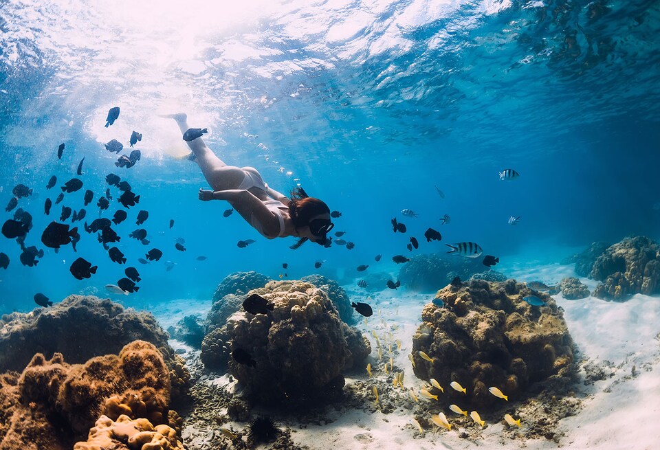Tarjeta de Crédito Coral | BBVA Colombia