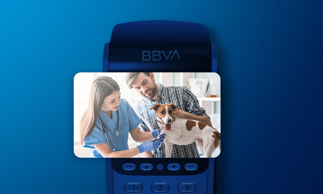 Datáfono - Recibe todos los pagos con tarjeta en tu negocio | Empresas ...