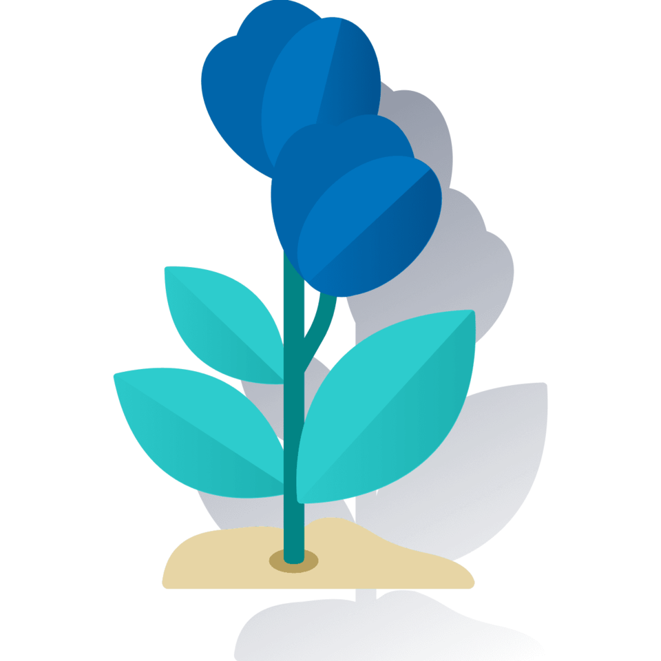 ¿Sabías que los páramos protegen el agua que consumes? | BBVA Colombia